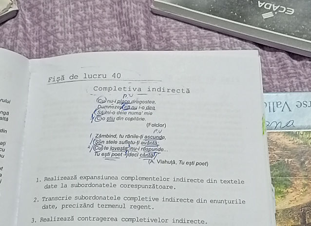 Fişă de lucru 40 Completiva indirectă Cui | StudyX