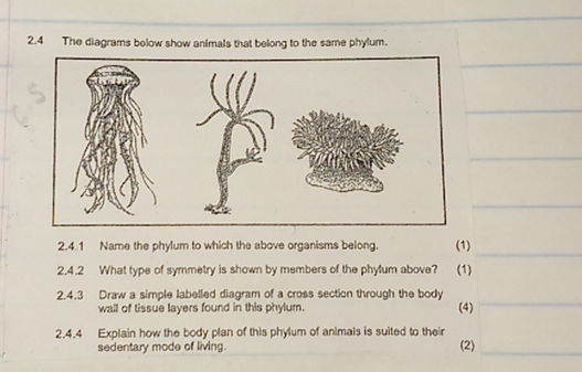 24 The diagrams below show animals that | StudyX