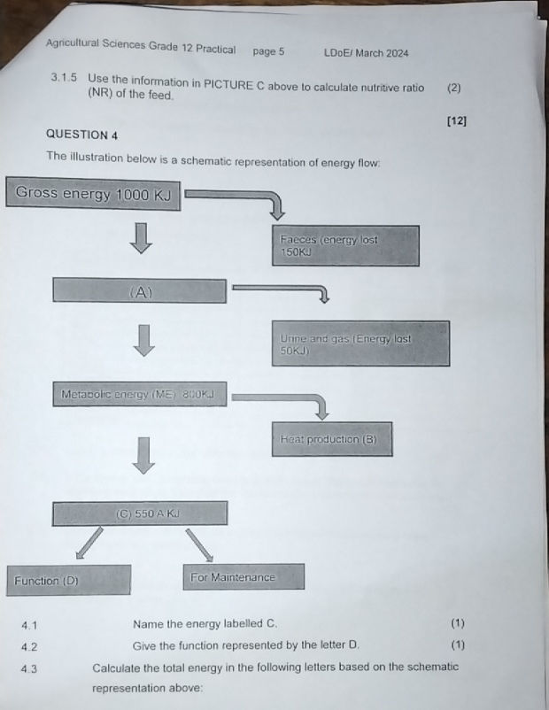 The illustration below is a schematic | StudyX
