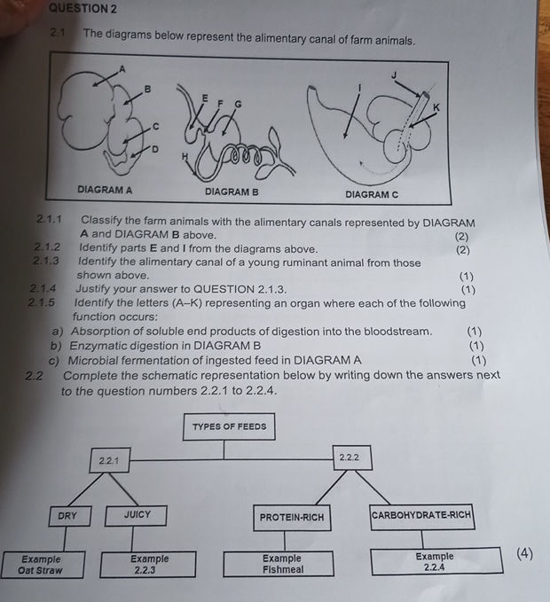 21 The diagrams below represent the | StudyX