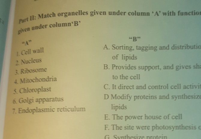 Part II: Match organelles given under column | StudyX
