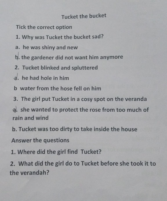 Tucket the bucket Tick the correct option 1 | StudyX