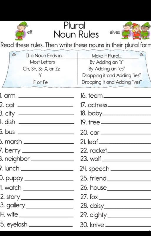 Read these rules Then write these nouns in | StudyX