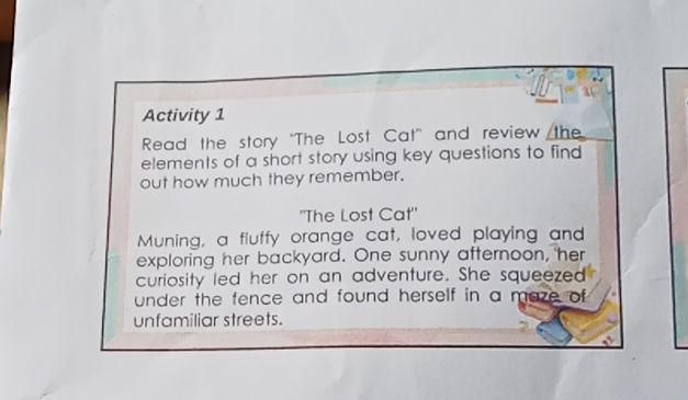 Activity 1 Read the story The Lost Cat and