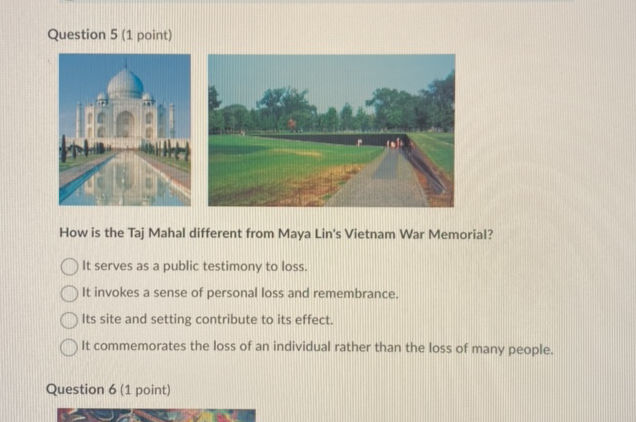 How is the Taj Mahal different from Maya | StudyX