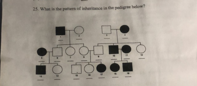 25 What is the pattern of inheritance in the | StudyX