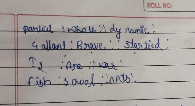 partial Whales dynamic Gallant Brave | StudyX
