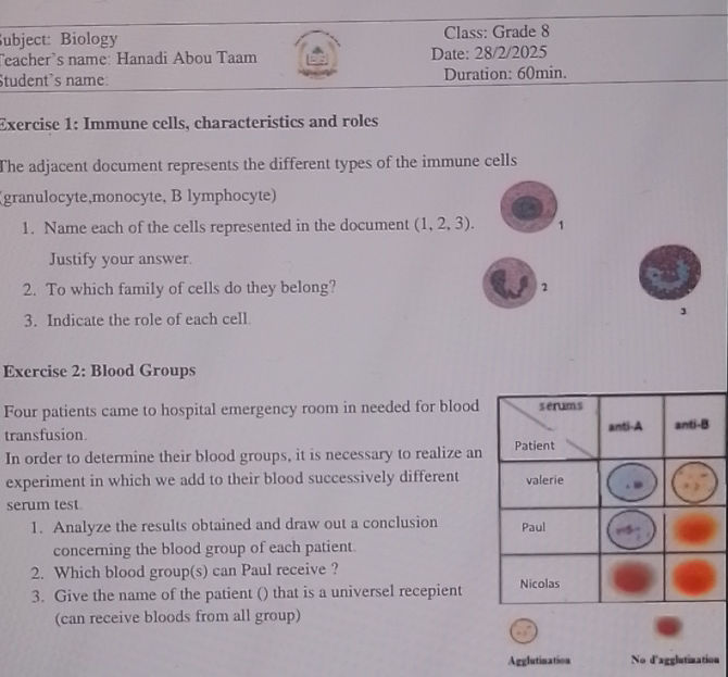 Exercise 1: Immune cells, characteristics | StudyX