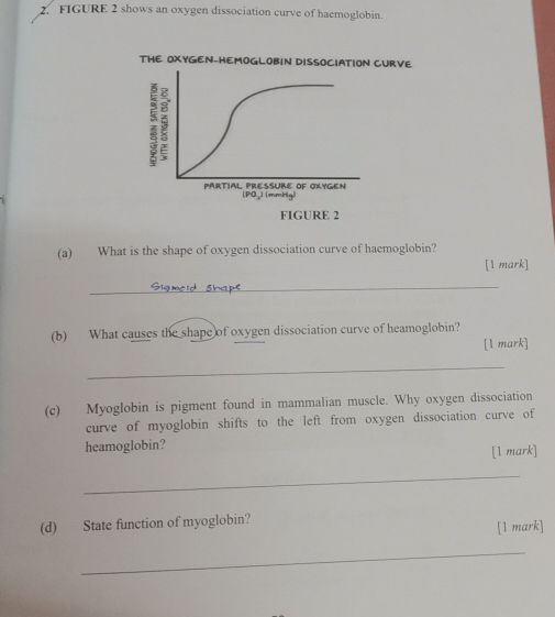 (a) What is the shape of oxygen dissociation | StudyX