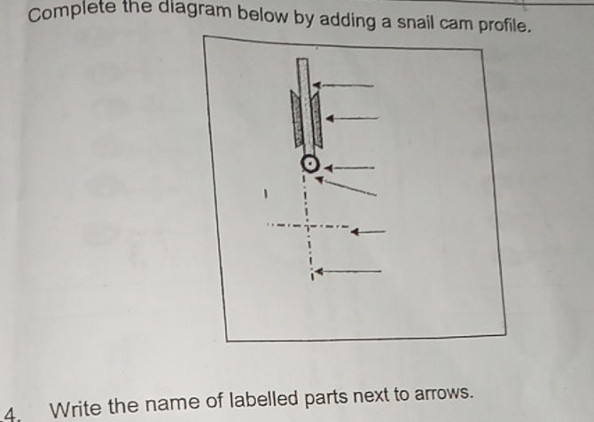 Complete the diagram below by adding a snail | StudyX