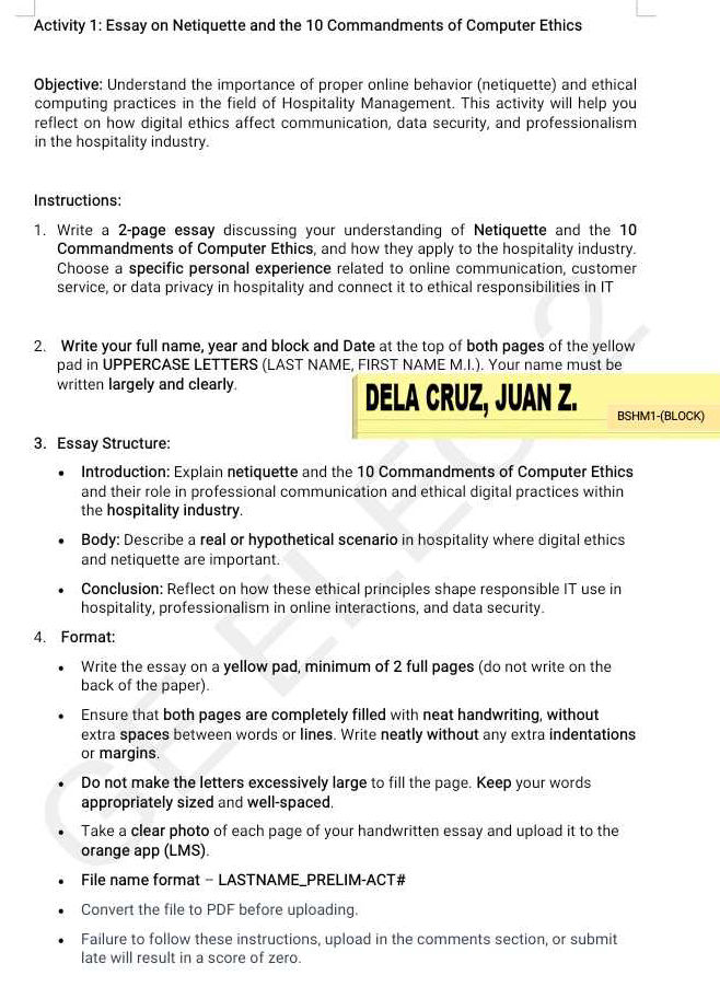 Activity 1 Essay on Netiquette and the 10 | StudyX
