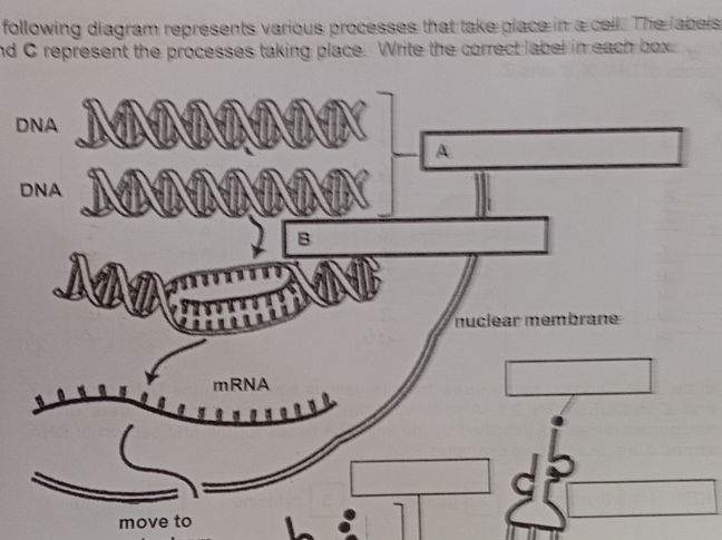 The following diagram represents various | StudyX