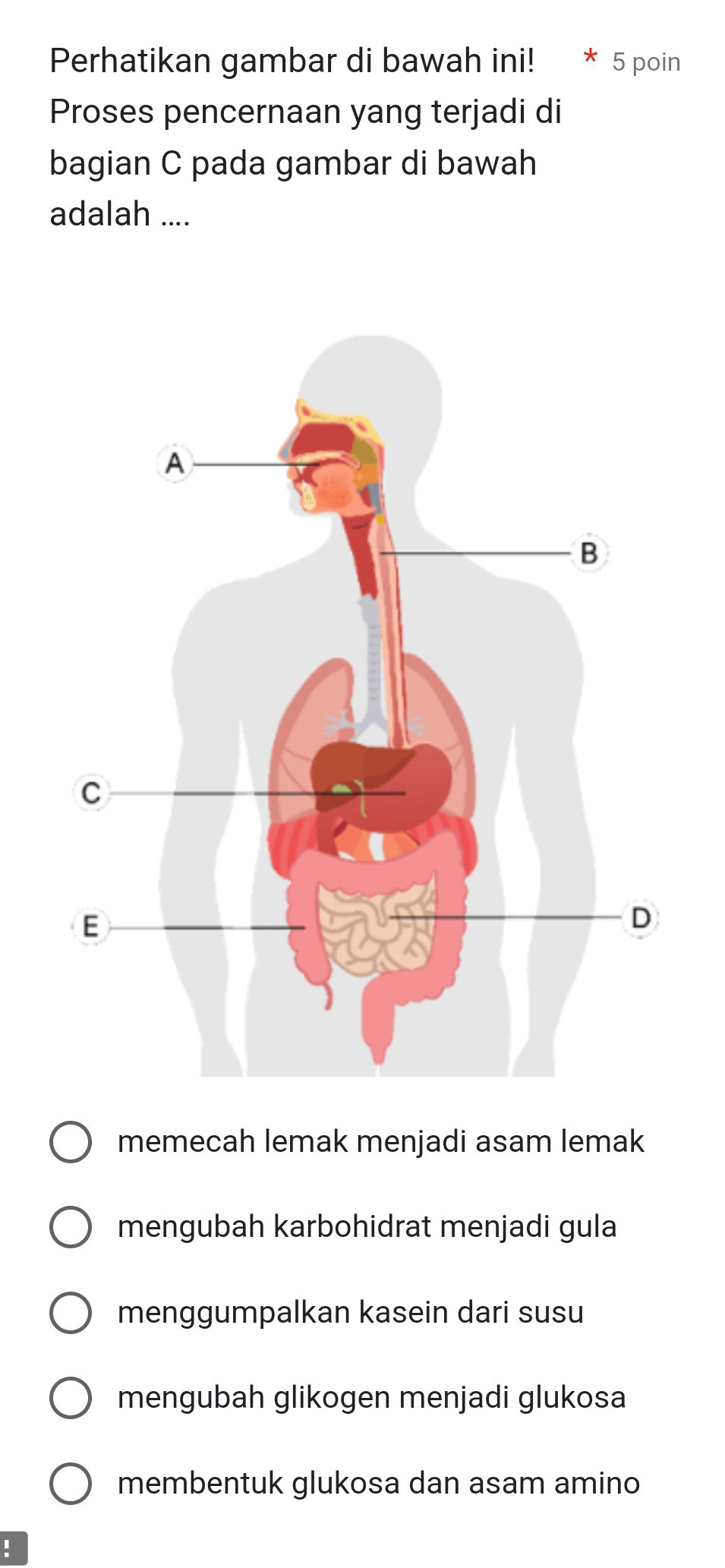 Perhatikan gambar di bawah ini Proses | StudyX