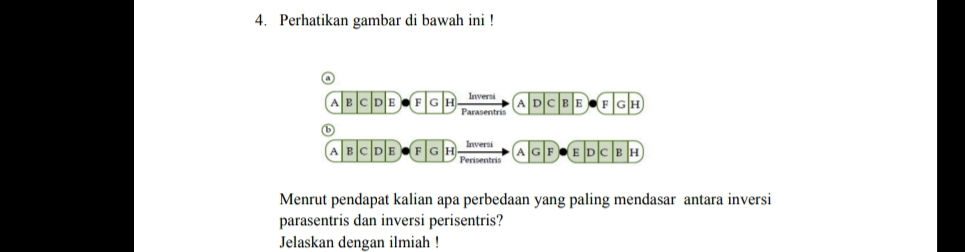 4 Perhatikan gambar di bawah ini Gambar | StudyX