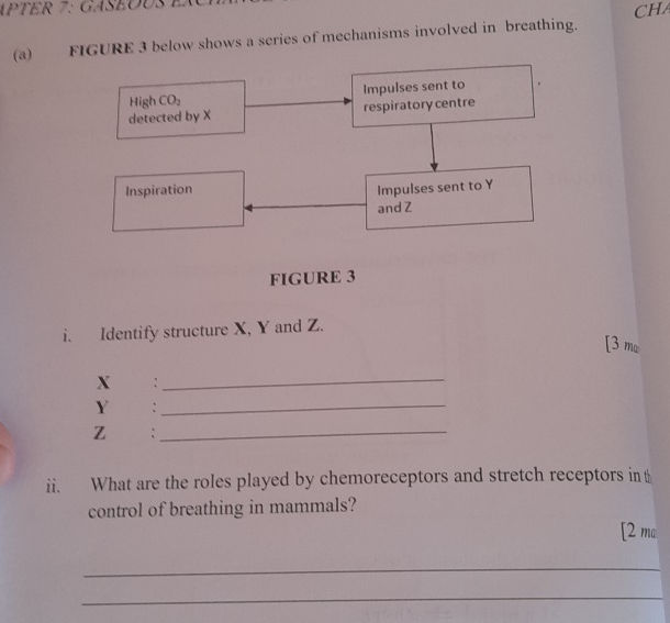 FIGURE 3 below shows a series of mechanisms | StudyX