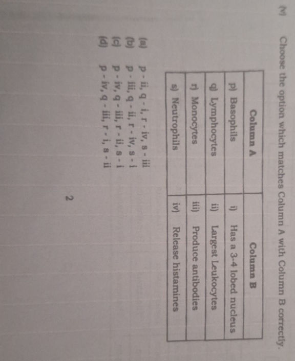 Choose the option which matches Column A | StudyX