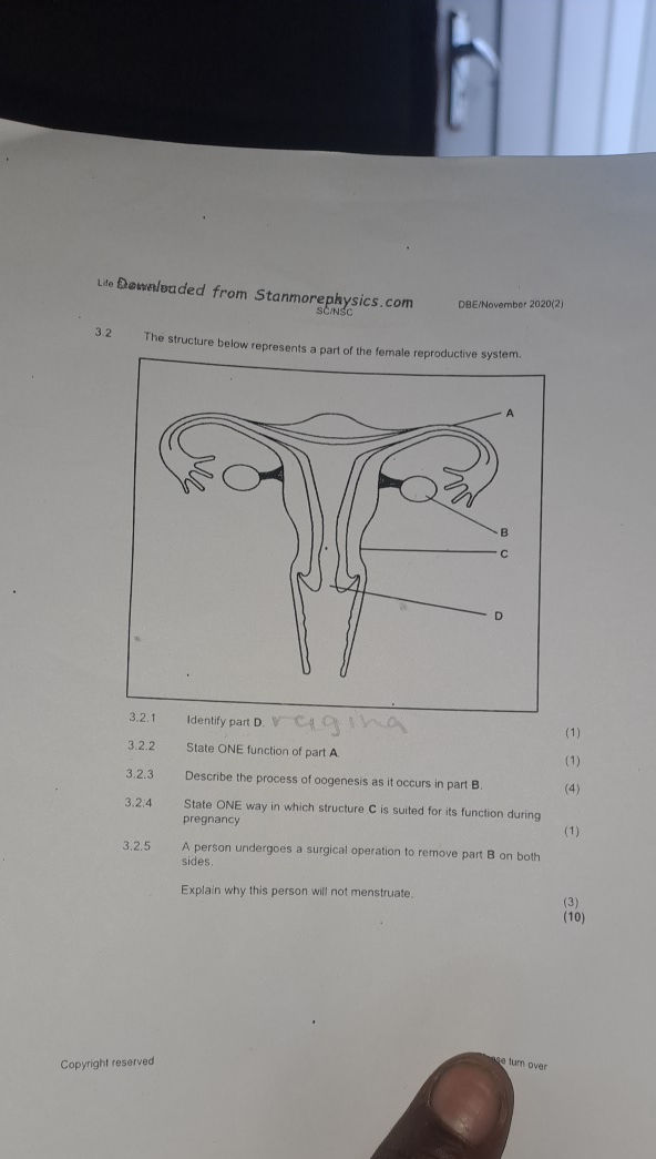 The structure below represents a part of the | StudyX