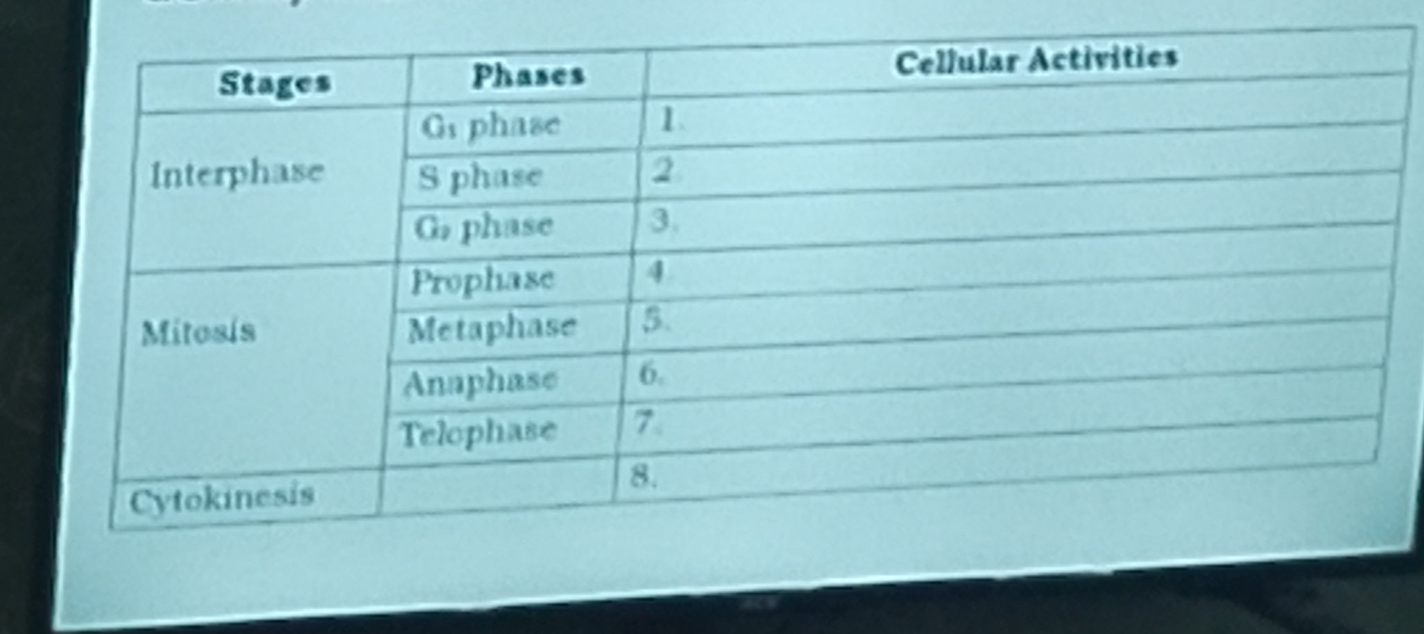 Stages Phases Cellular Activities | StudyX