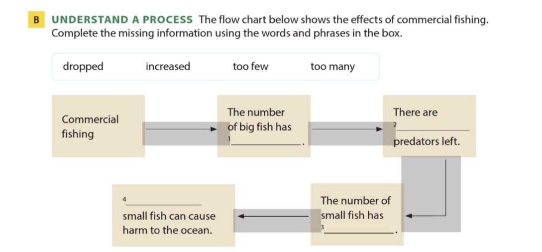 UNDERSTAND A PROCESS The flow chart below | StudyX