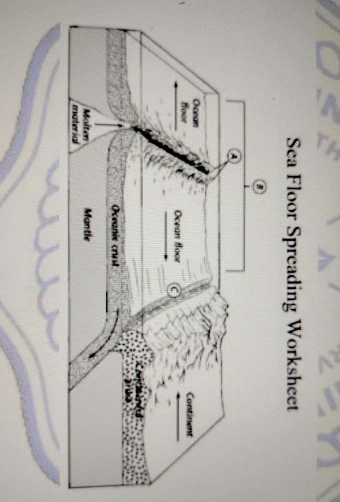 Sea Floor Spreading Worksheet The image | StudyX