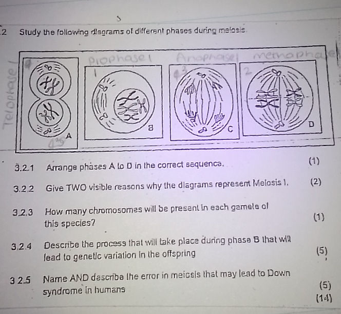 Study the following diagrams of different | StudyX
