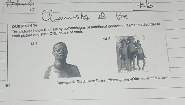 QUESTION 14 The pictures below illustrate | StudyX