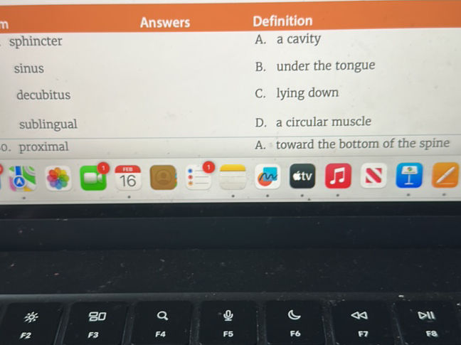 Match the following terms with their | StudyX