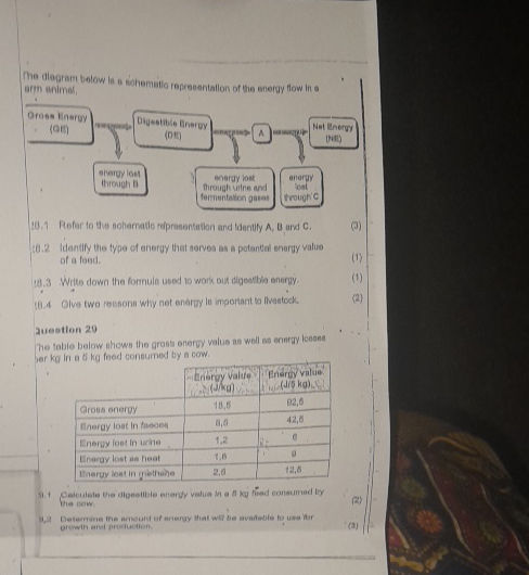The diagram below is a schematic | StudyX