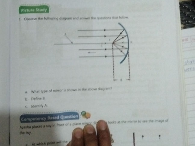 1 Observe the following diagram and answer | StudyX
