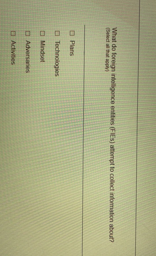 What do foreign intelligence entities (FIEs)