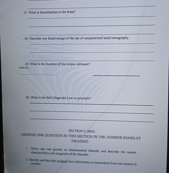 17. What is lateralization in the brain? | StudyX