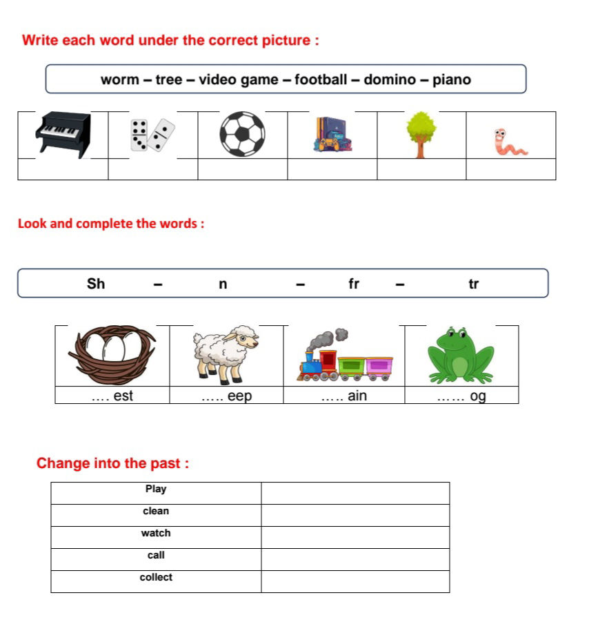 Write each word under the correct picture | StudyX