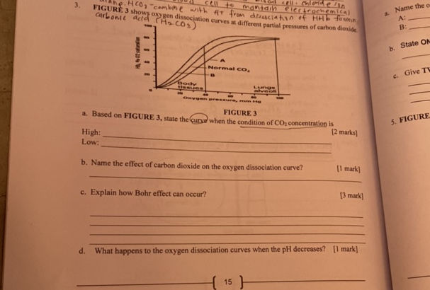 3. FIGURE 3 shows oxygen dissociation curves | StudyX