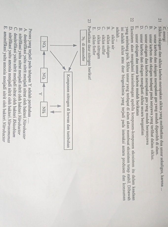 23 Perhatikan daur nitrogen berikut N2 di | StudyX