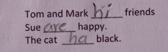 Tom and Mark friends Sue happy The cat | StudyX