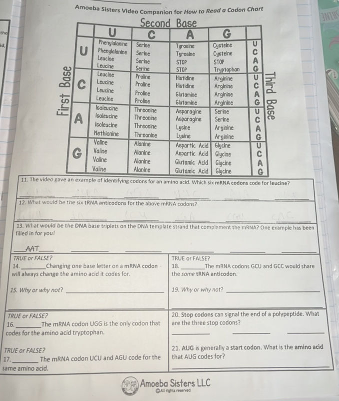 Amoeba Sisters Video Companion for How to | StudyX