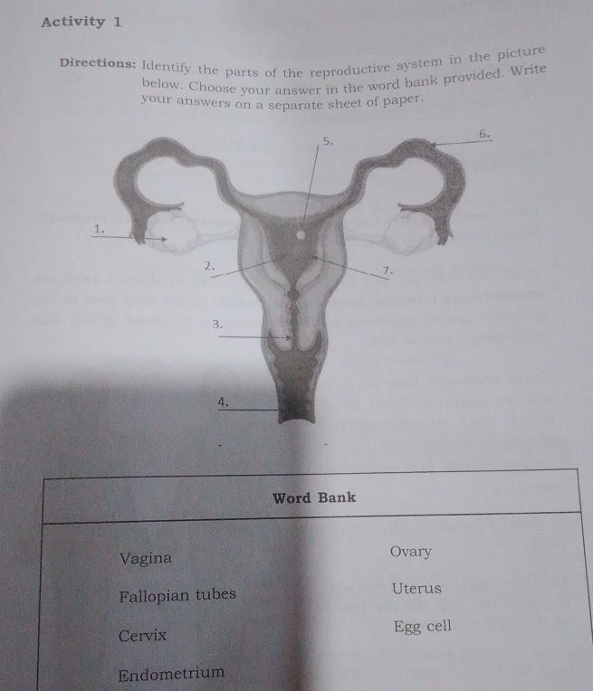 Directions Identify the parts of the | StudyX