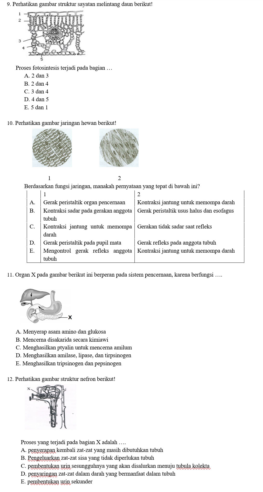 9. Perhatikan gambar struktur sayatan | StudyX