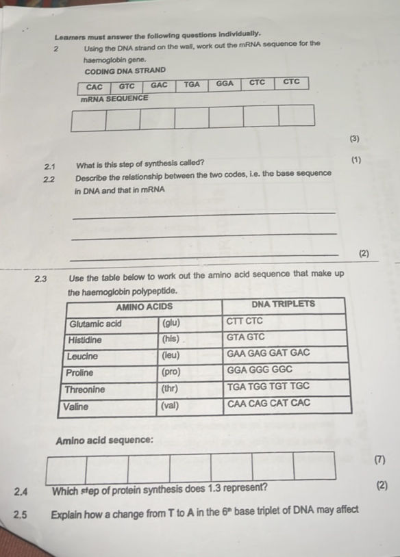Learners must answer the following questions | StudyX