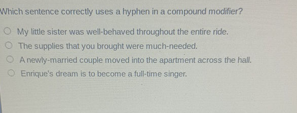 Which sentence correctly uses a hyphen in a | StudyX