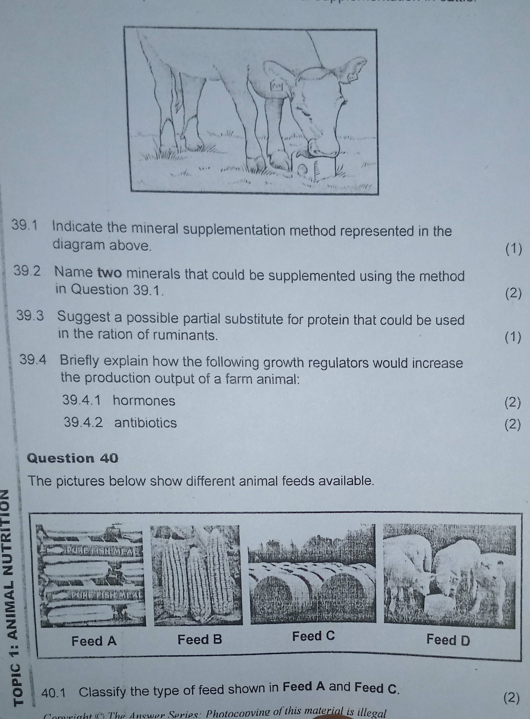 Question 40 The pictures below show | StudyX