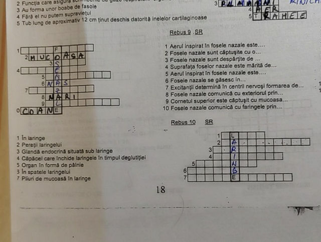 Rebus 9 SR 1 Aerul inspirat n fosele nazale | StudyX