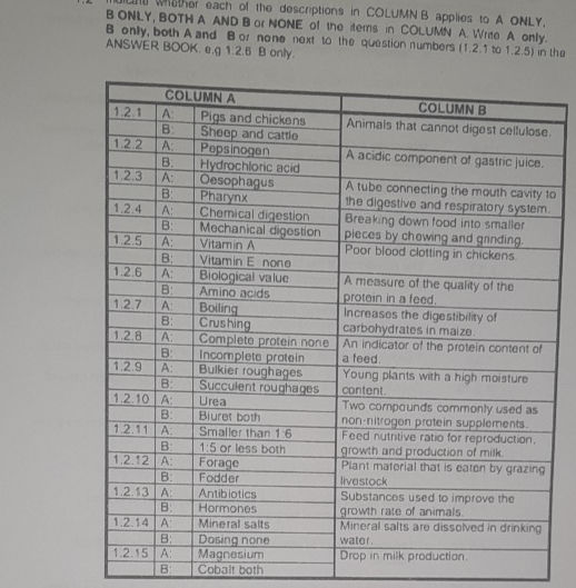 Whether each of the descriptions in COLUMN B | StudyX