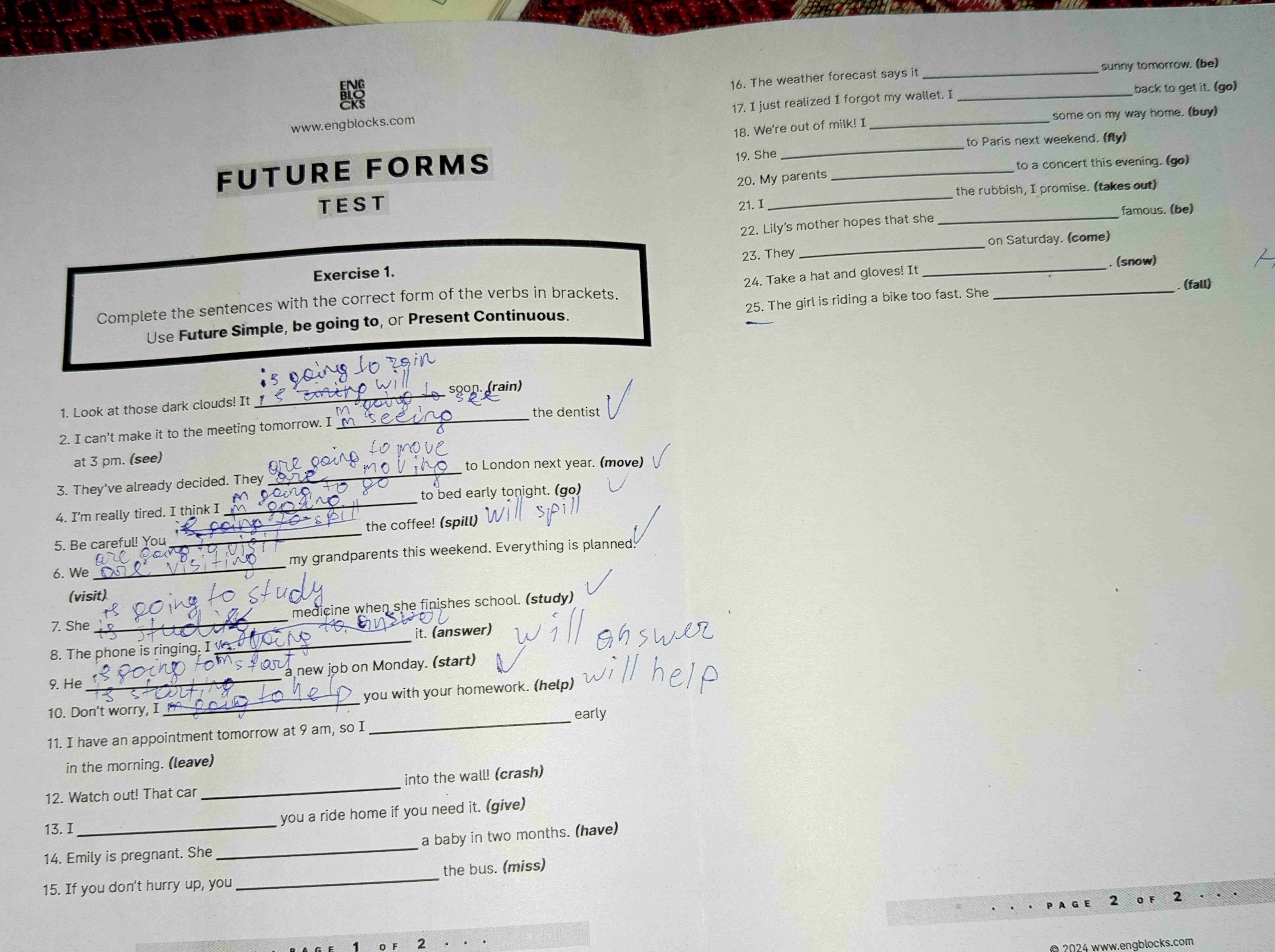 Exercise 1 Complete the sentences with the | StudyX