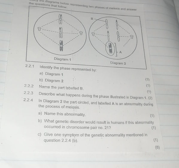 Study the diagrams below representing two | StudyX