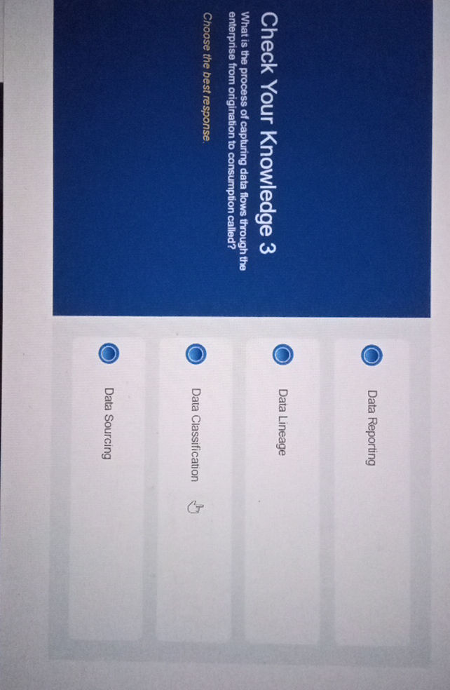 What is the process of capturing data flows | StudyX