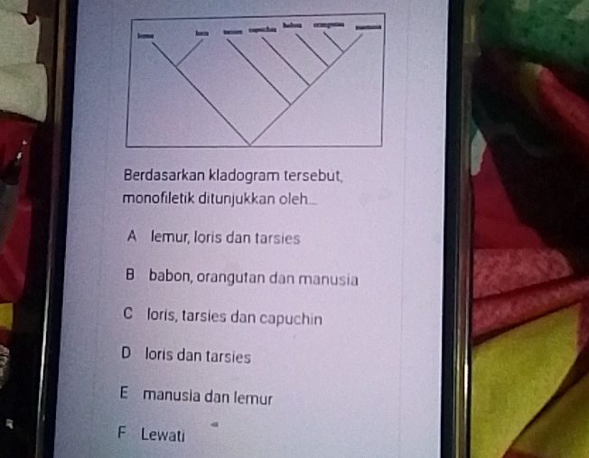 Berdasarkan kladogram tersebut, monofiletik | StudyX