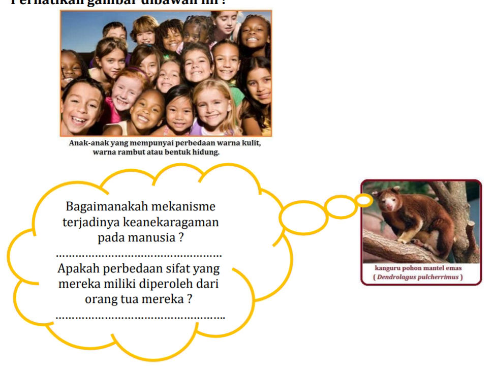 Bagaimanakah mekanisme terjadinya | StudyX