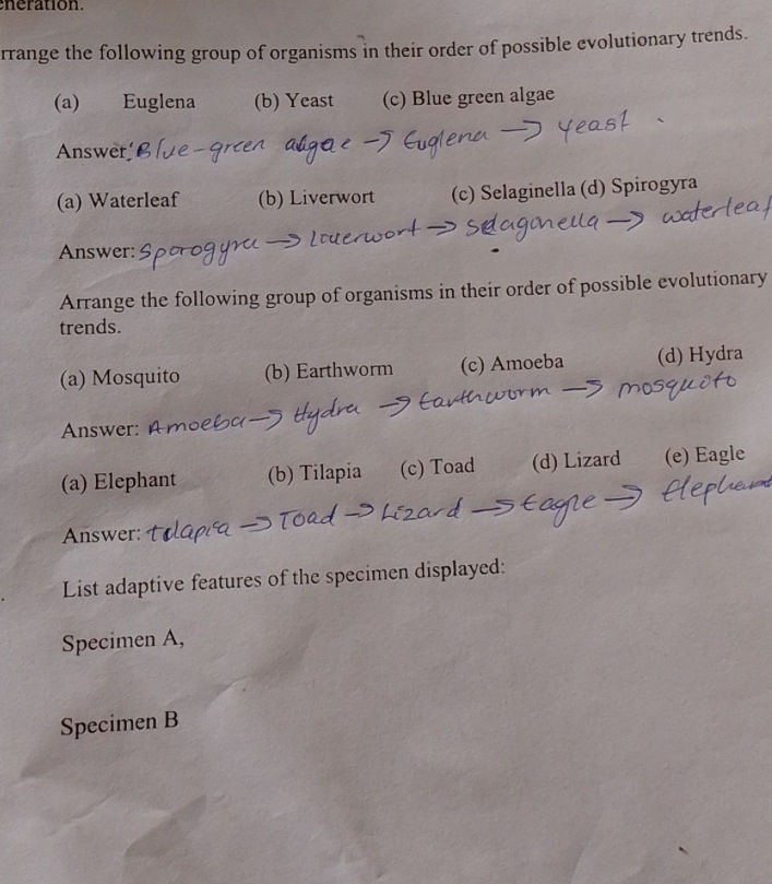 rrange the following group of organisms in | StudyX