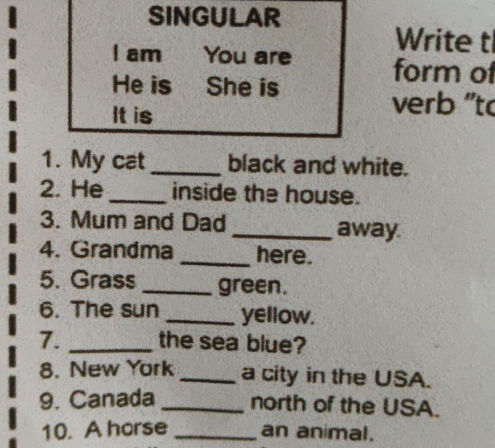 SINGULAR Write the form of verb to be I am | StudyX